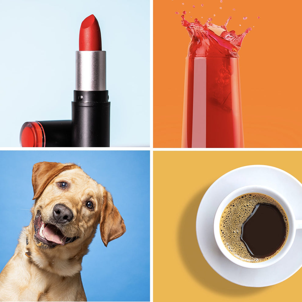 Horsepower Bull Shot – BulbHead