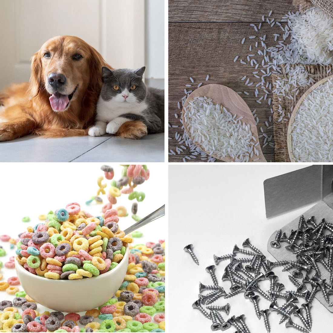 Horsepower Duck Vacuum – BulbHead