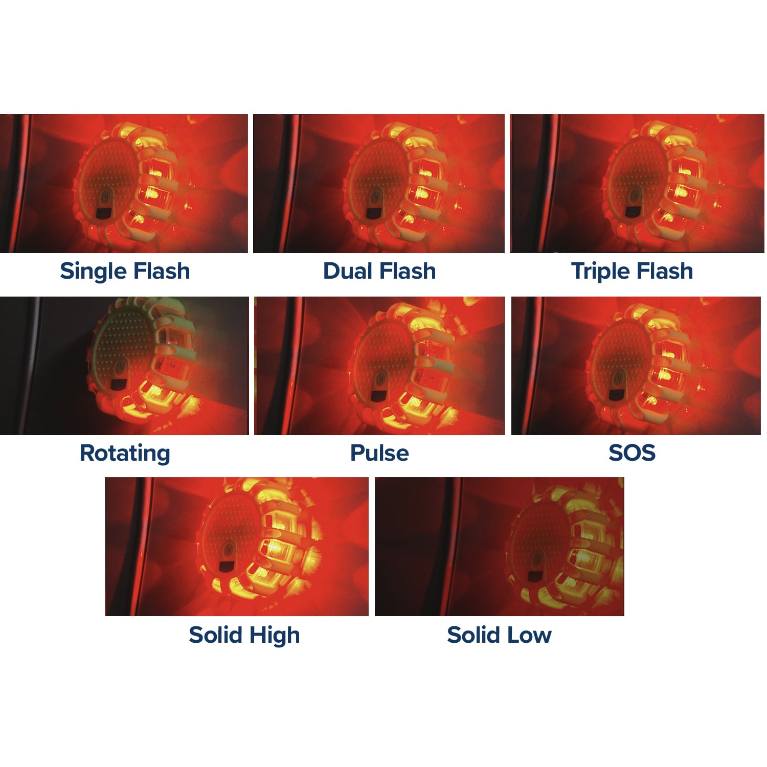 Lizard Flare Light – BulbHead