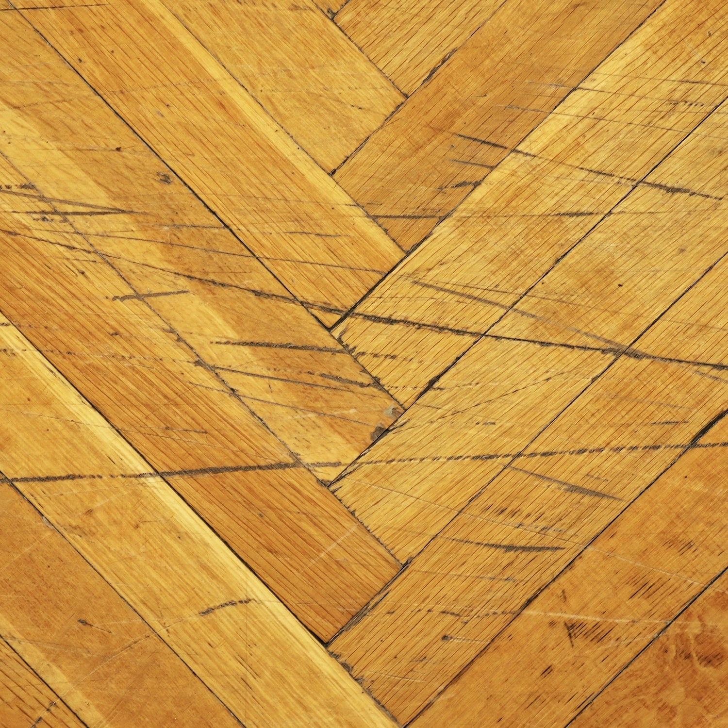 Ruby Slider Floor Protectors | BulbHead