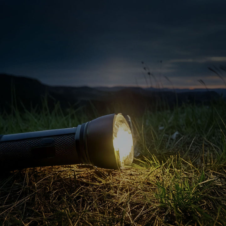 Star Patrol – BulbHead