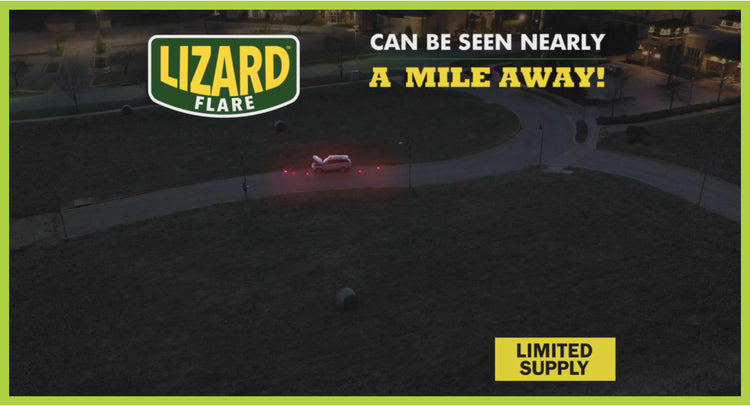 Lizard Flare – BulbHead